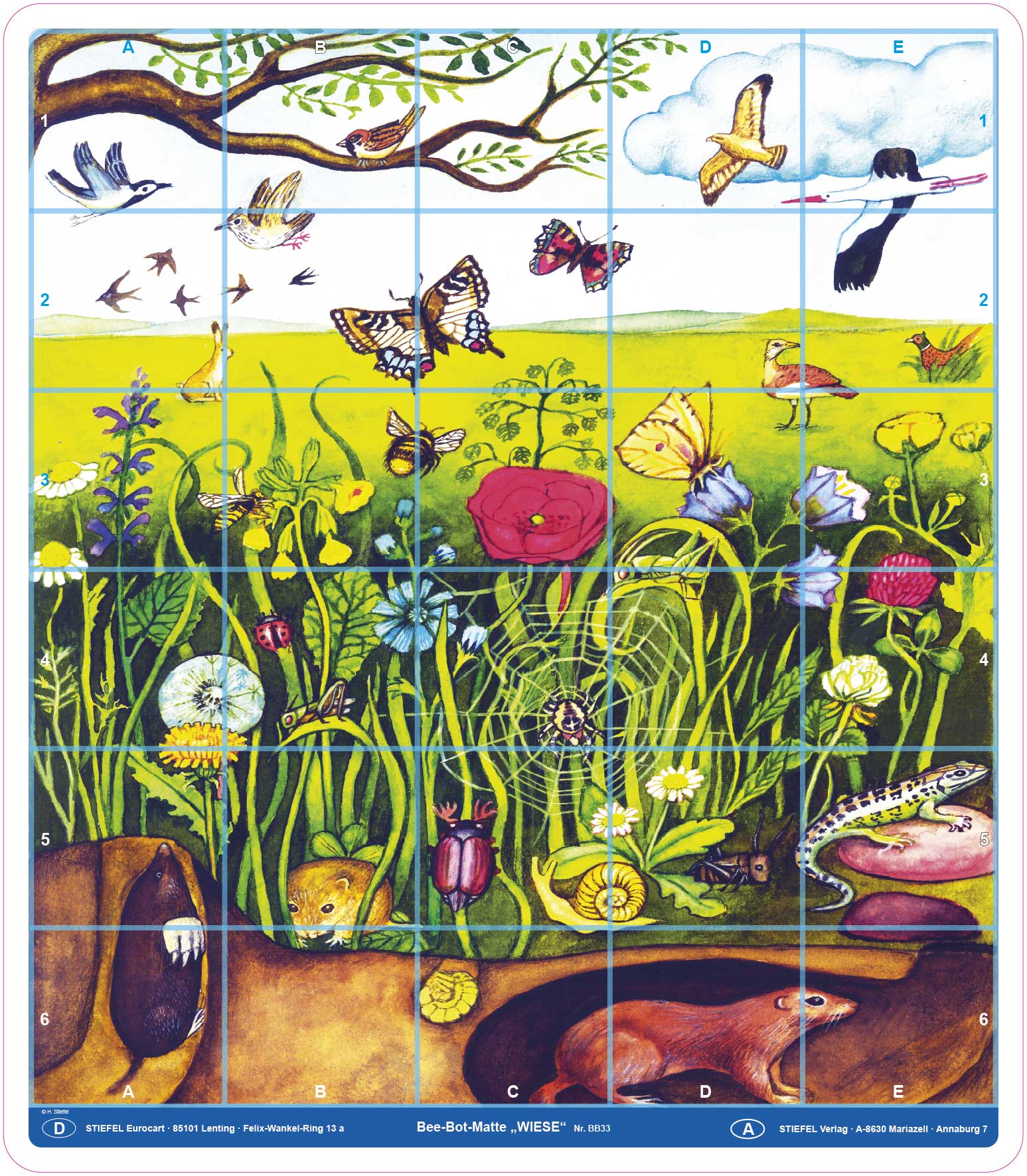 Bee Bot Matte - Lerndino.de